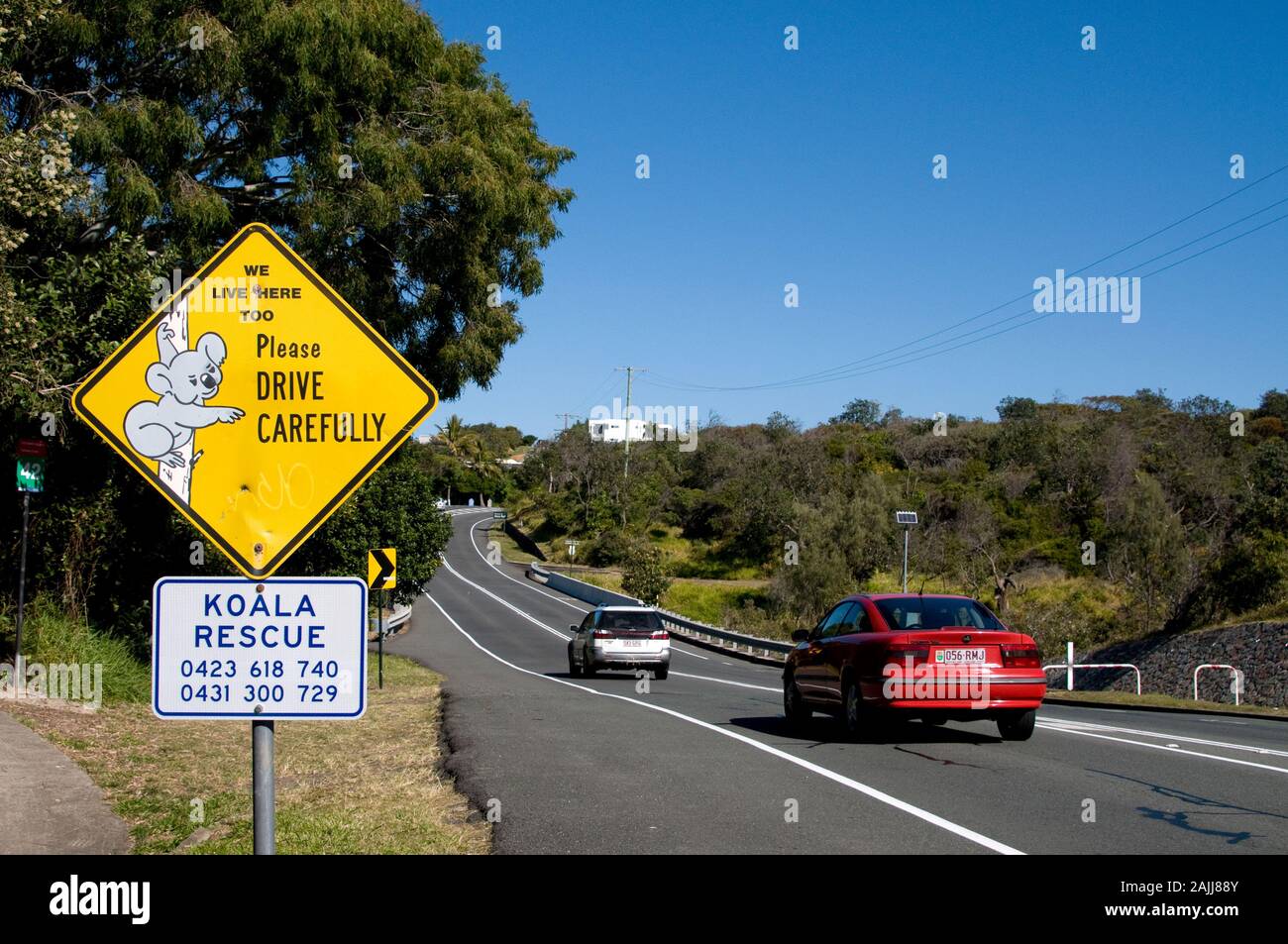 A Koala Rescue road sign on a road close to a Koala habitat on the ...