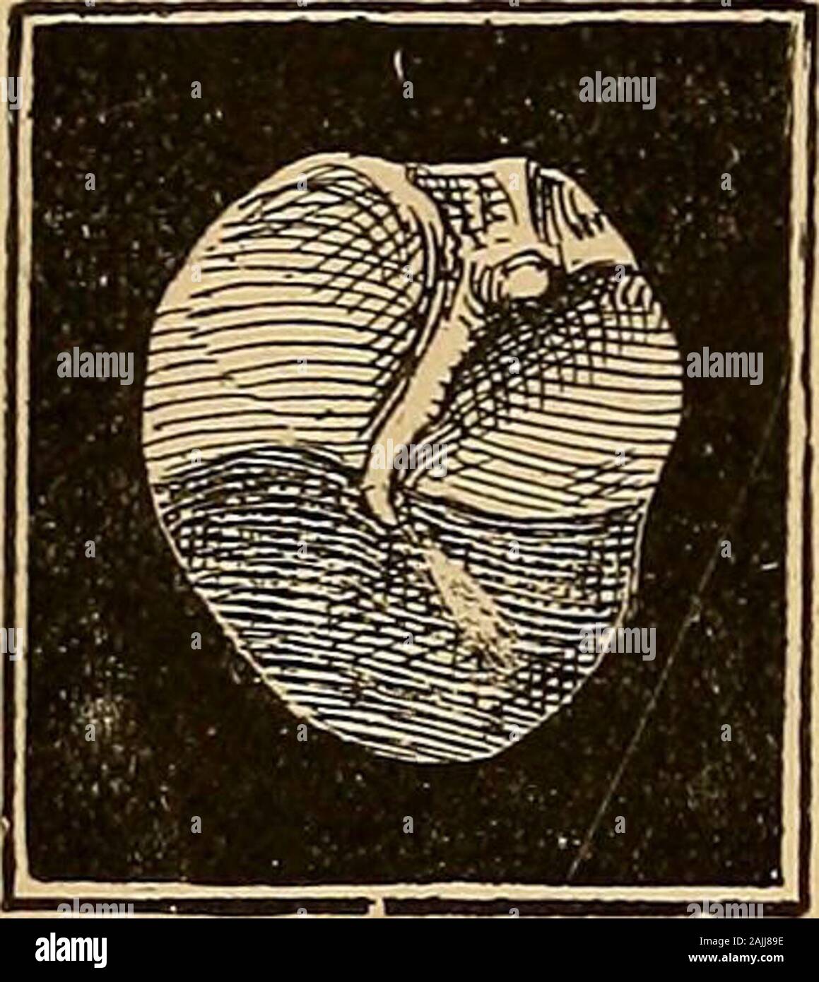 Severecold hi-res stock photography and images - Alamy