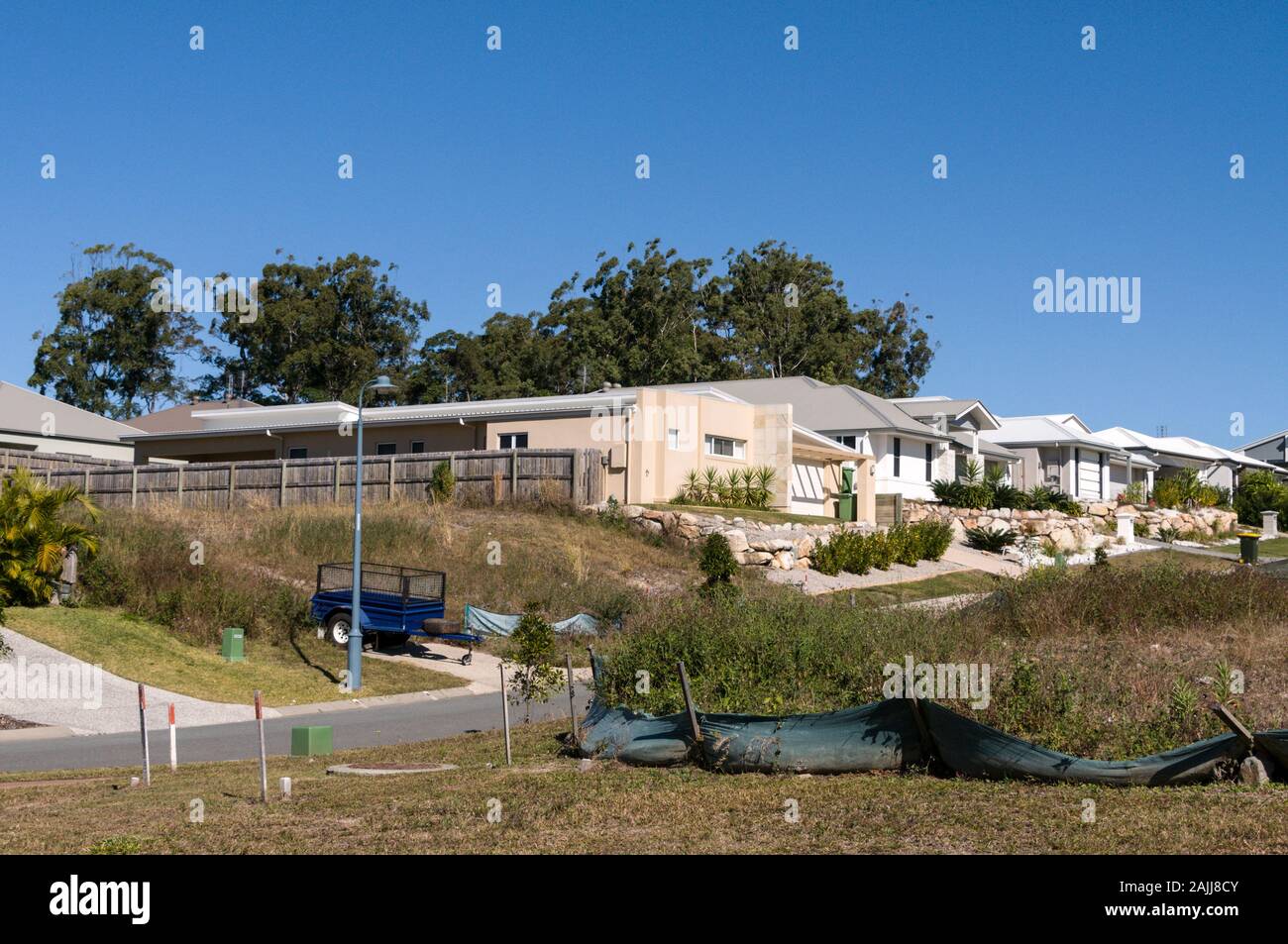New housing developments taking over Koala habitat on the Sunshine ...