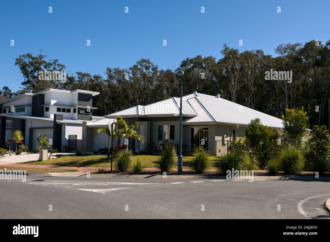 New housing developments taking over Koala habitat on the Sunshine ...
