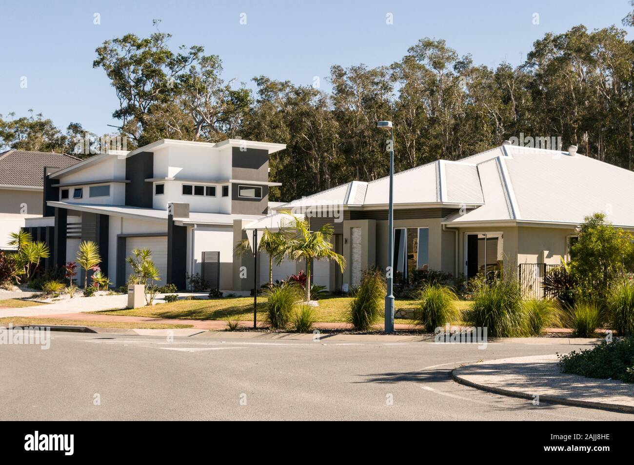 New housing developments taking over Koala habitat on the Sunshine ...
