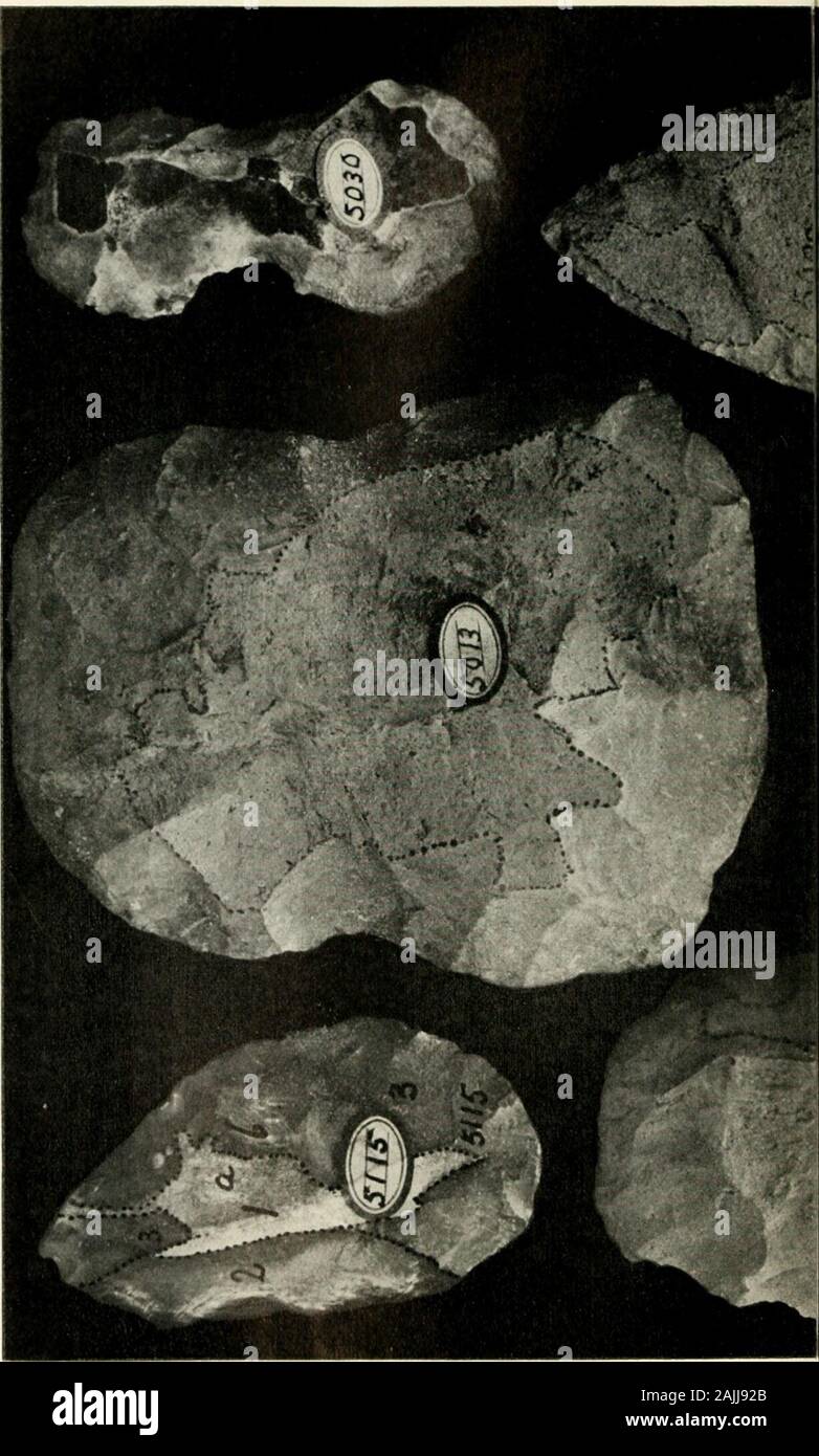 Bookidweatheringof hi-res stock photography and images - Alamy