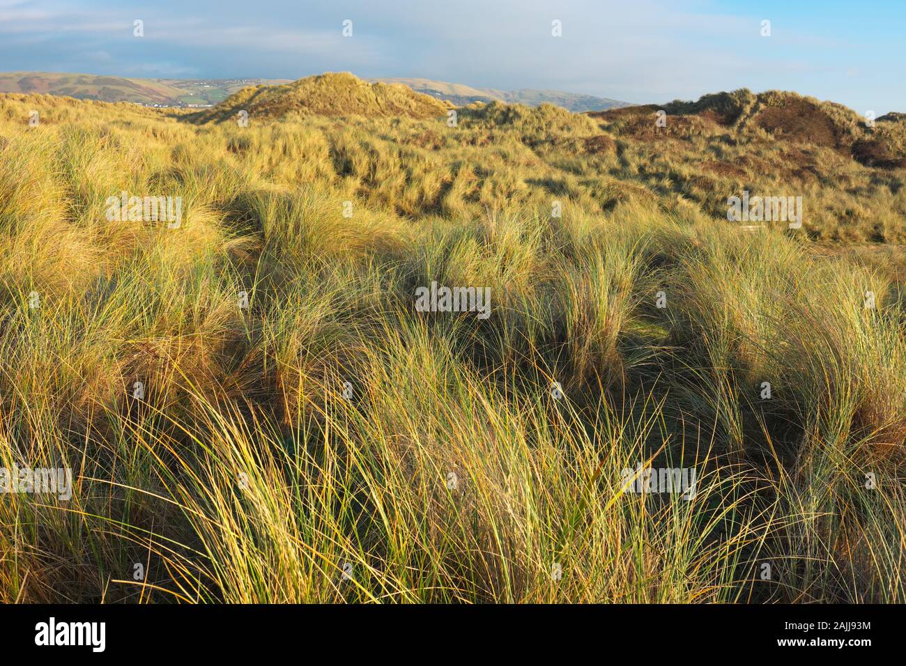 Ynyslas beach wales hi-res stock photography and images - Alamy