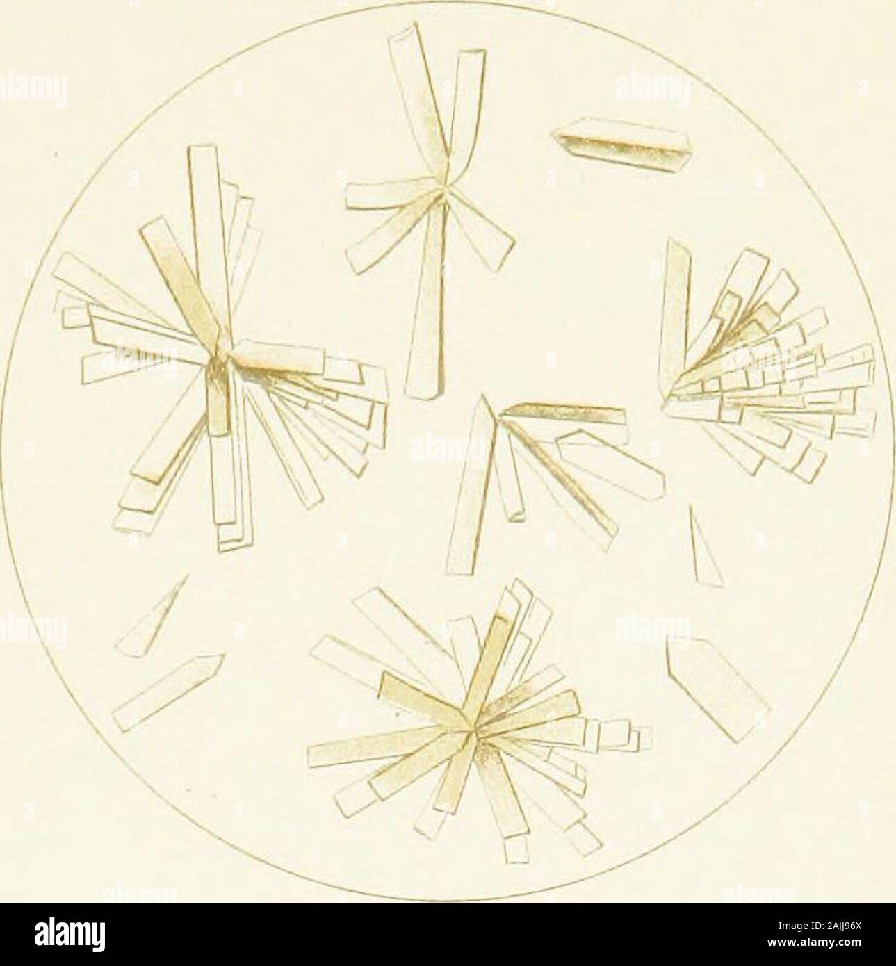 Atlas of urinary sediments; with special reference to their clinical ...