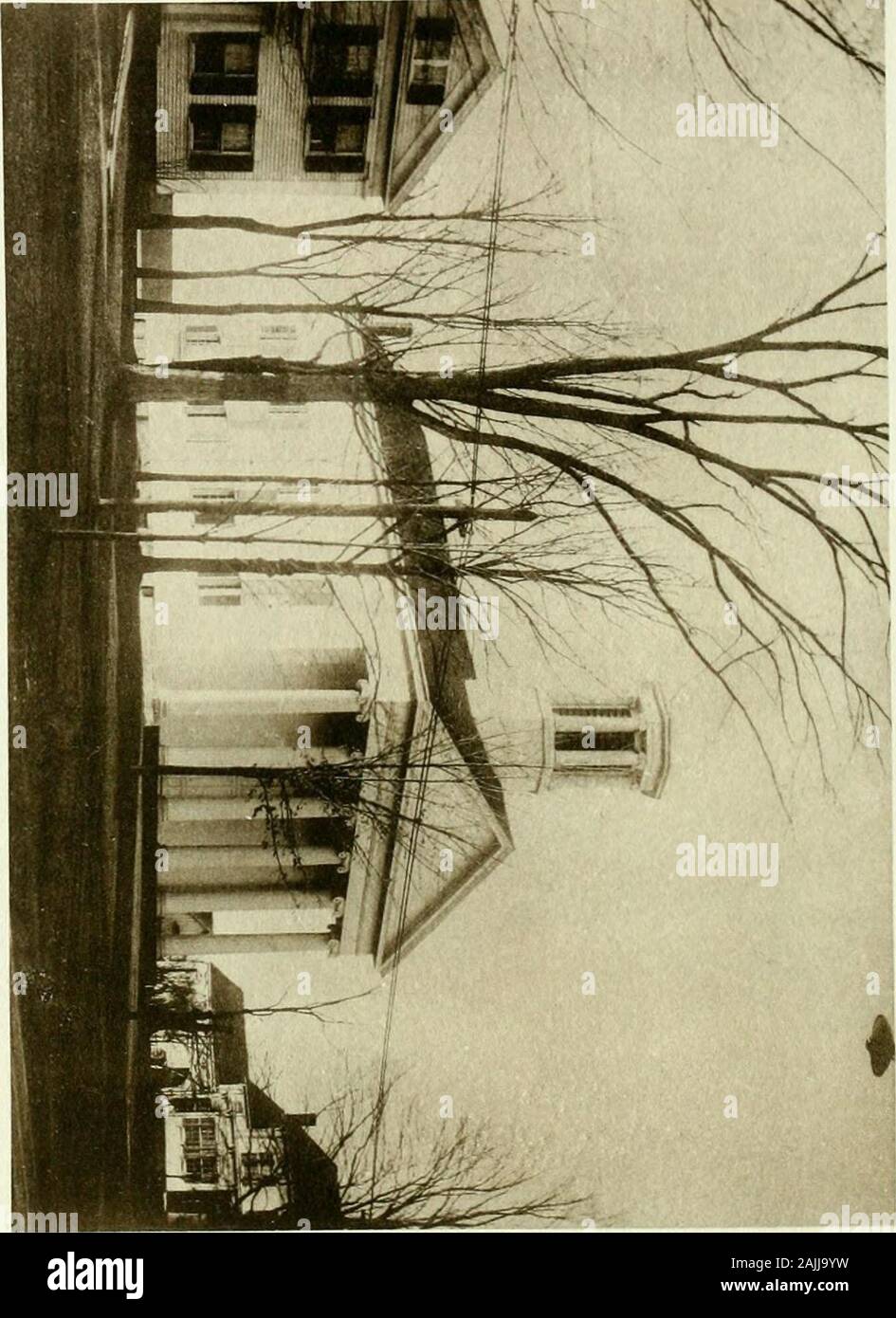 Stokes records; notes regarding the ancestry and lives of Anson Phelps ...