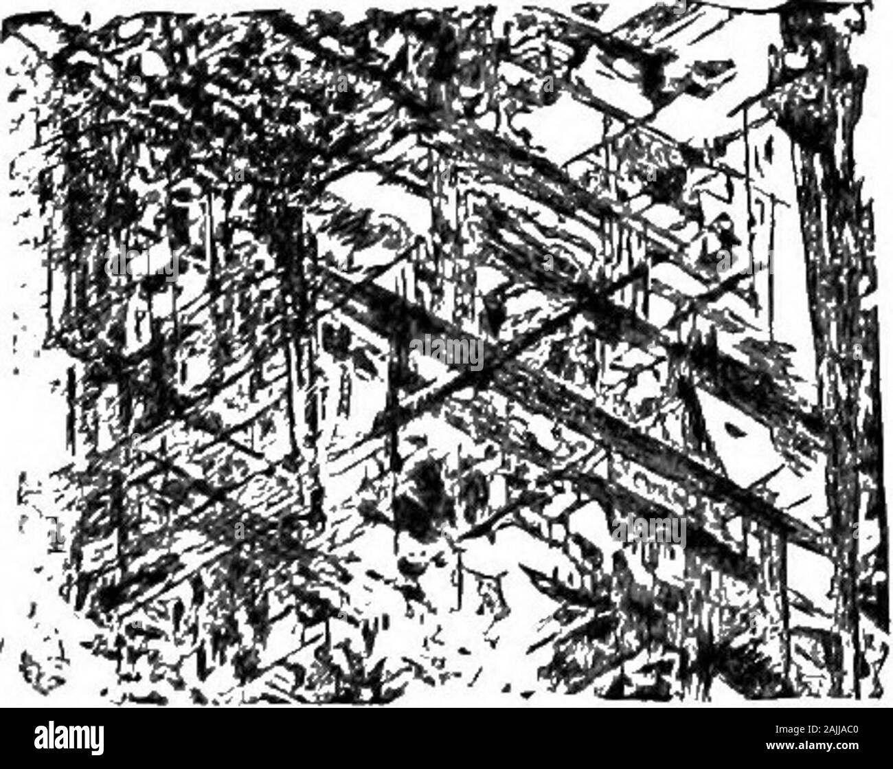 Form fon hi-res stock photography and images - Alamy