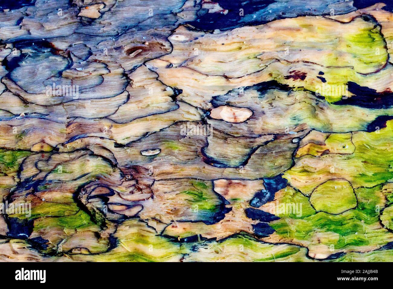 Abstract log hi-res stock photography and images - Alamy