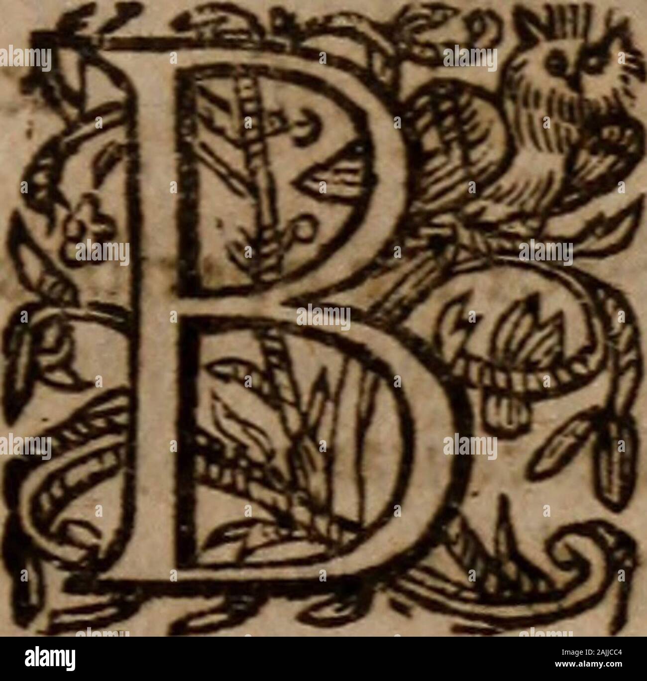 Dicens hi-res stock photography and images - Alamy