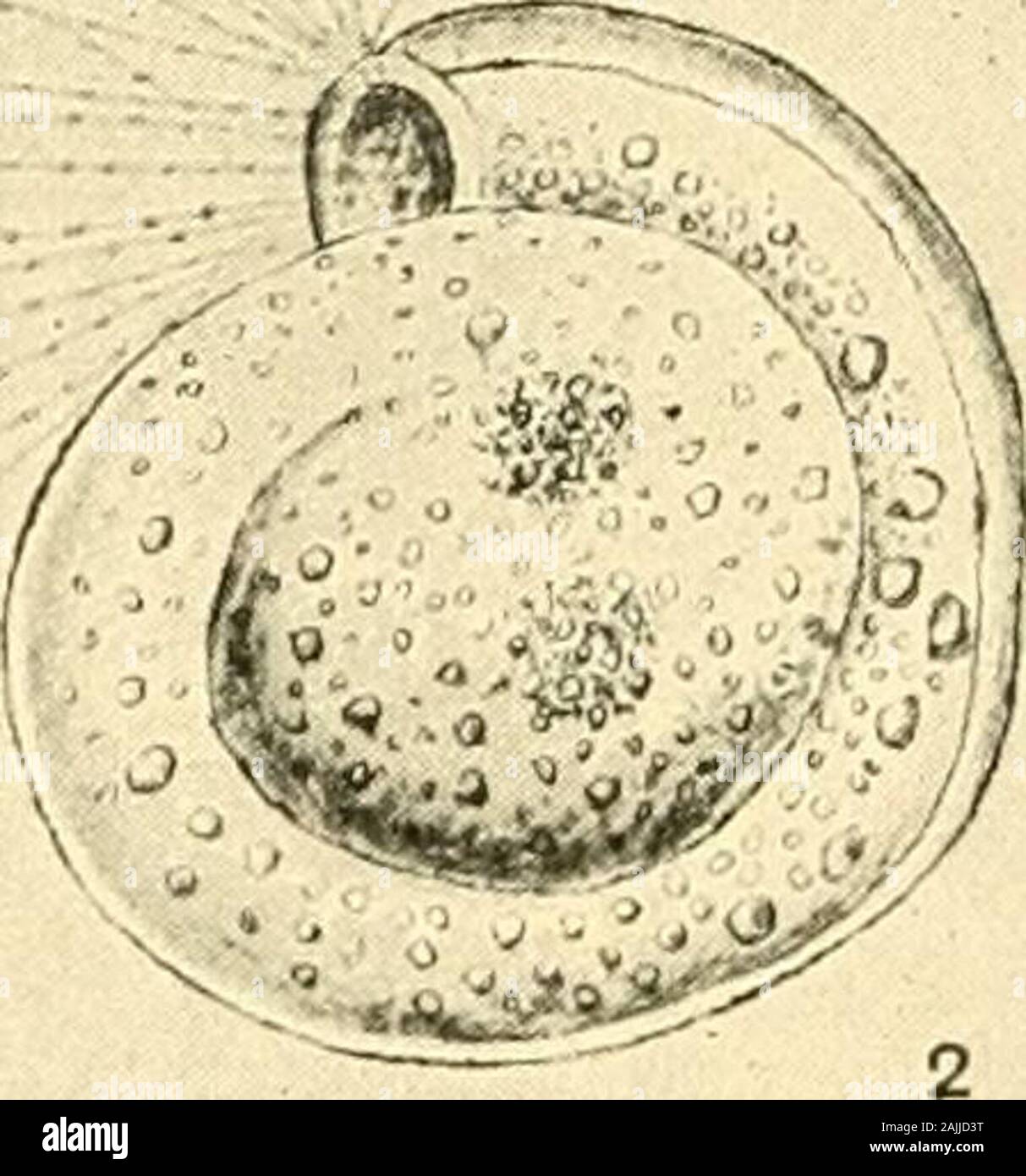 15 x 10 1 2 hi-res stock photography and images - Alamy