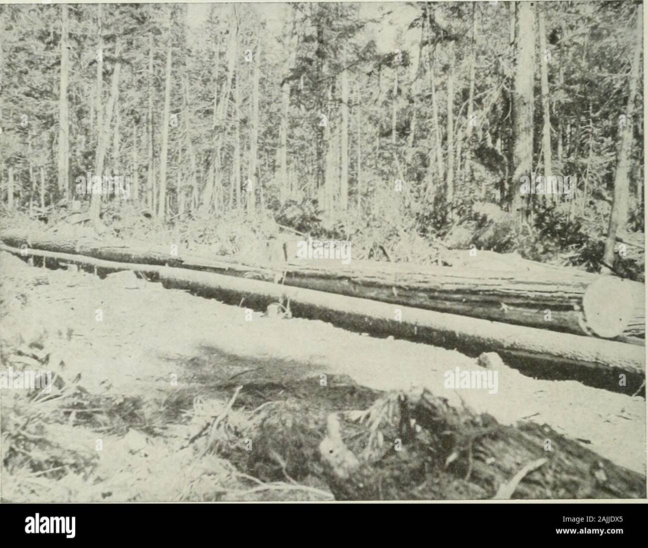 Logging; the principles and general methods of operation in the United ...