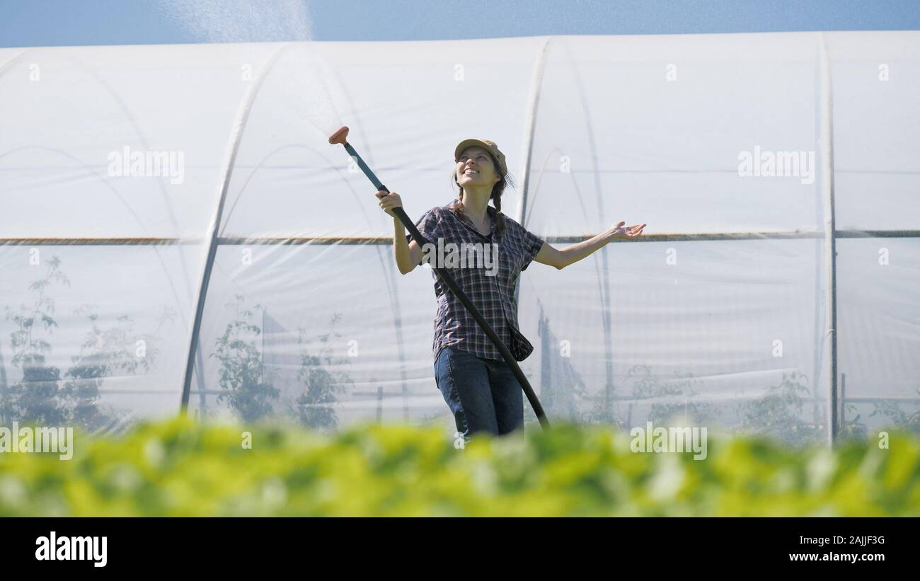 Irrigation plantation sprinkler irrigates vegetable hi-res stock ...