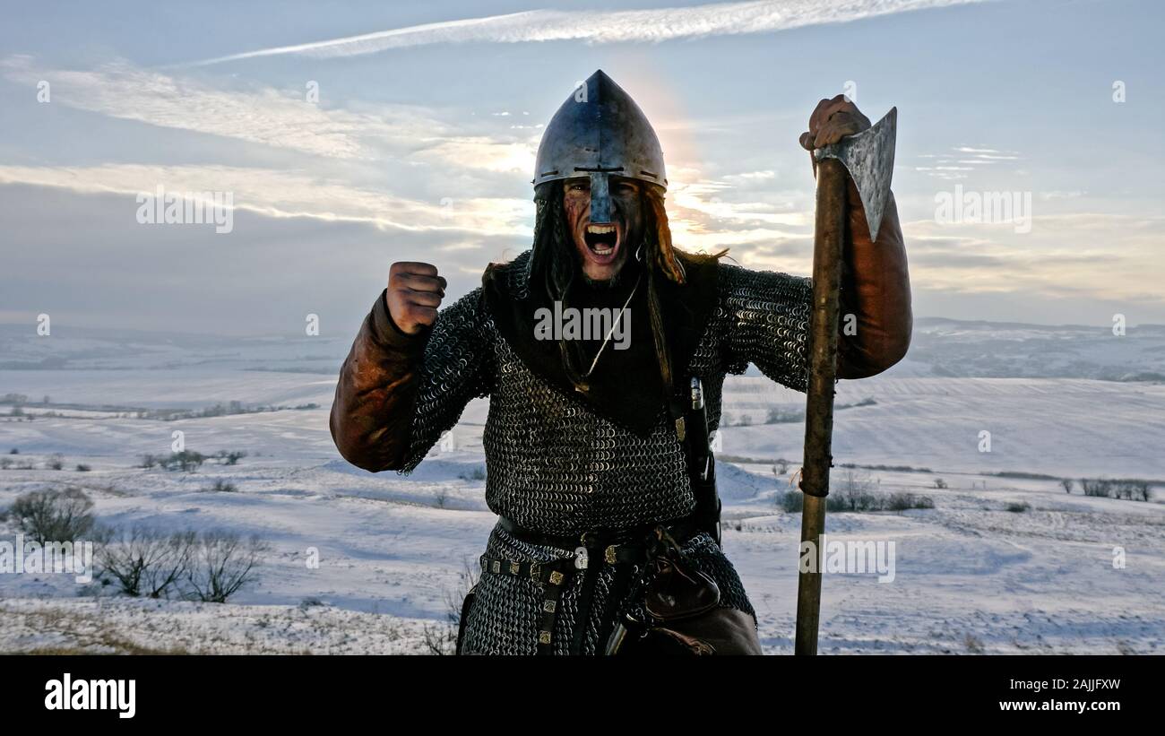 Portrait of medieval viking warrior in armor Stock Photo - Alamy