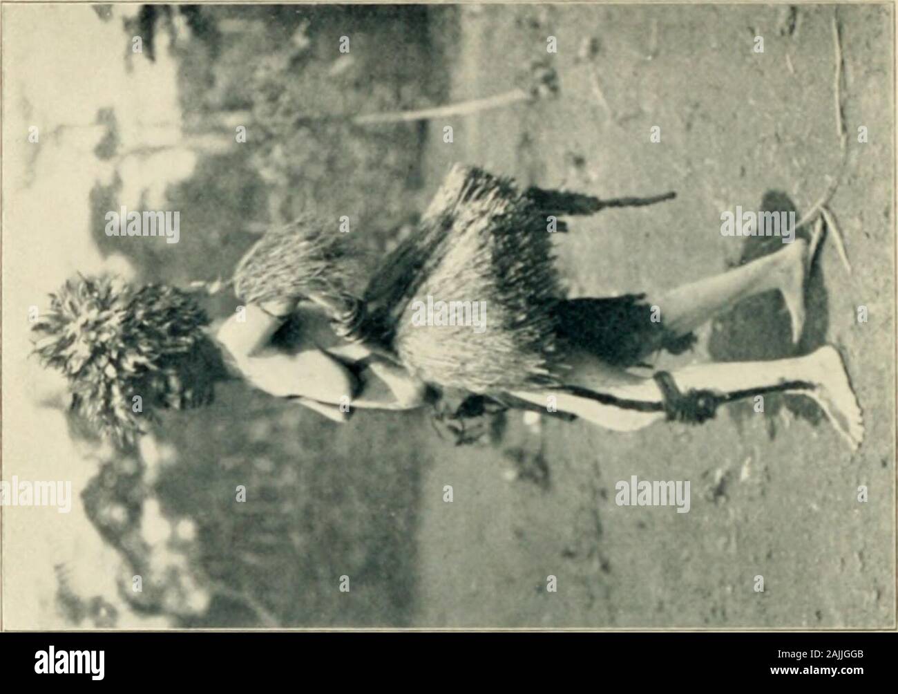 From the Congo to the Niger and the Nile : an account of The German ...