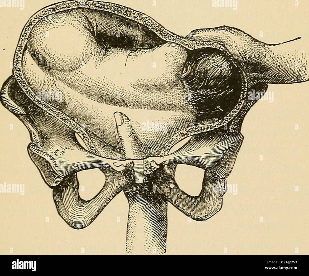 Outrepont hi-res stock photography and images - Alamy