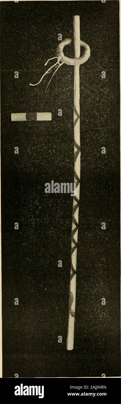 Koyemshi gods hi-res stock photography and images - Alamy