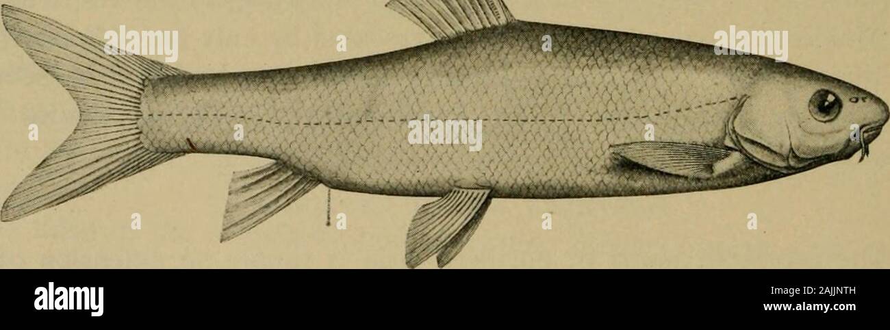 Inferior lake hi-res stock photography and images - Alamy