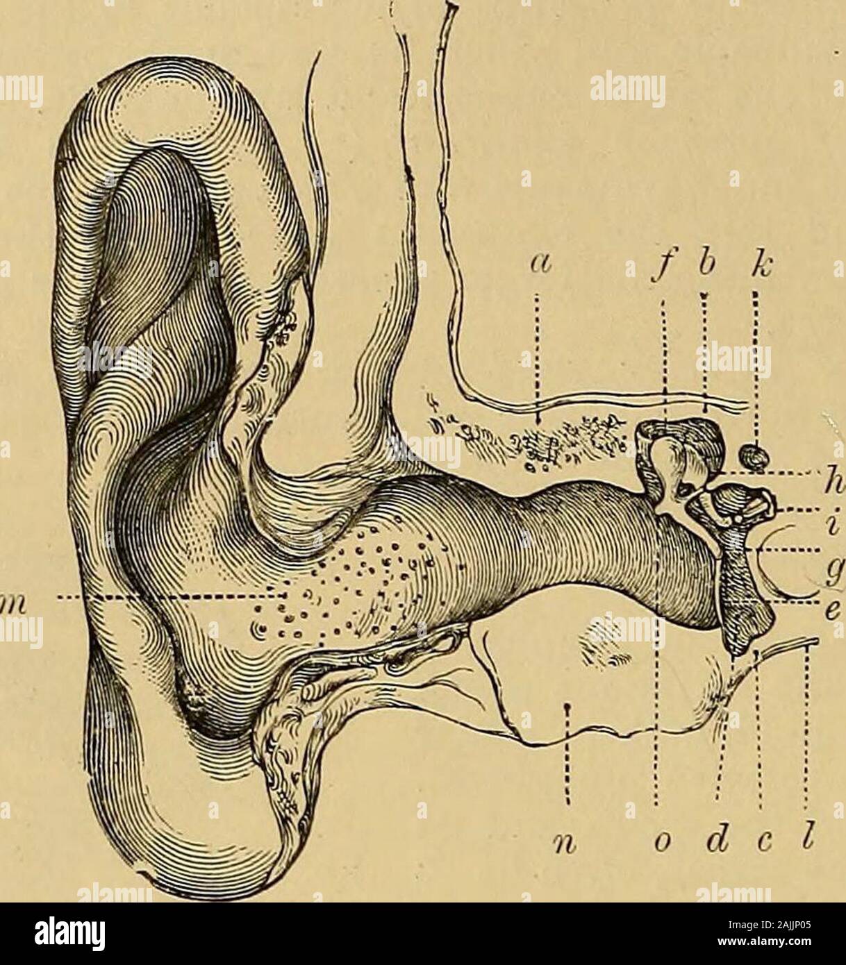 A text-book of the diseases of the ear for students and practitioners ...