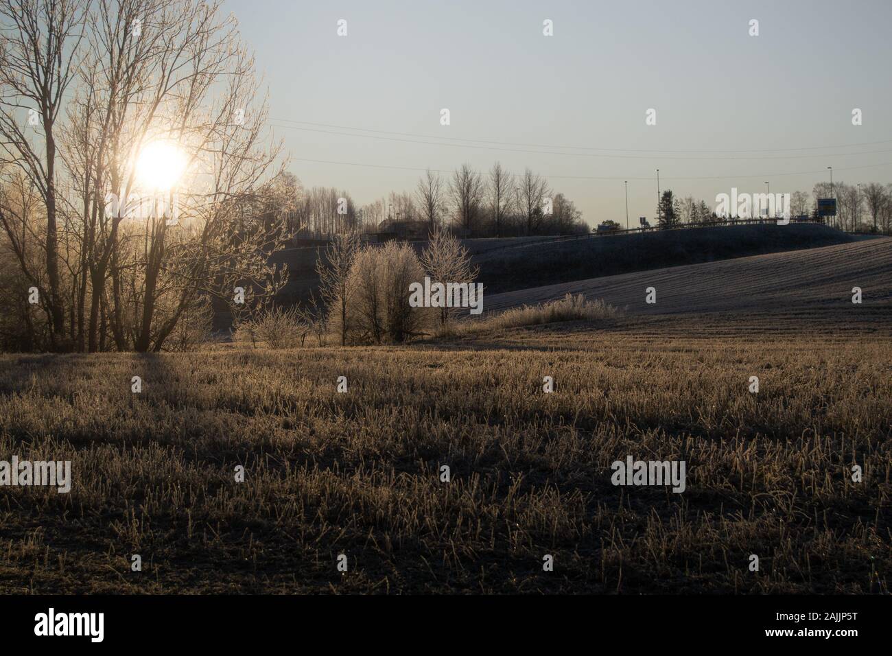 sunrise over field Stock Photo - Alamy