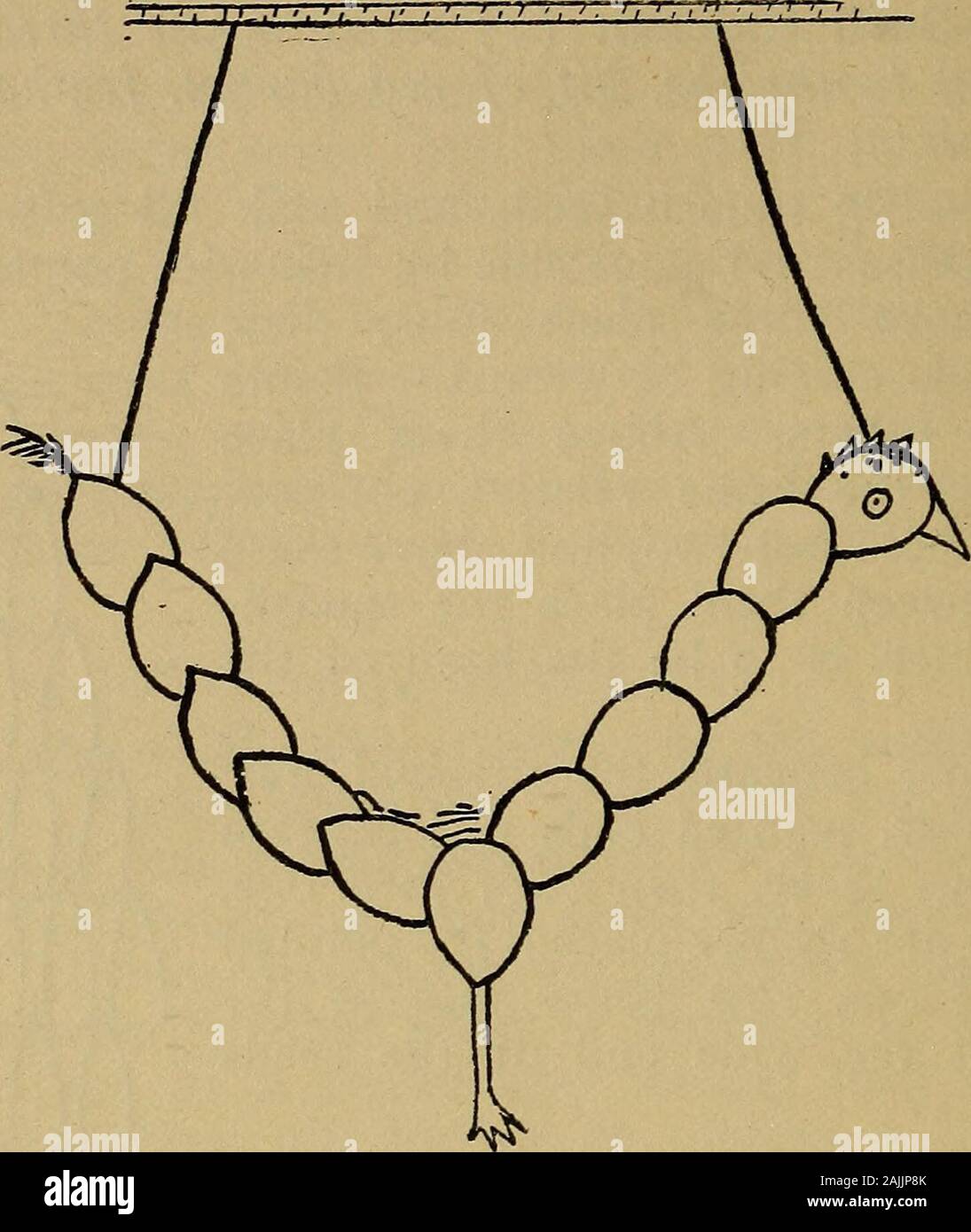 Penwiper hi-res stock photography and images - Alamy