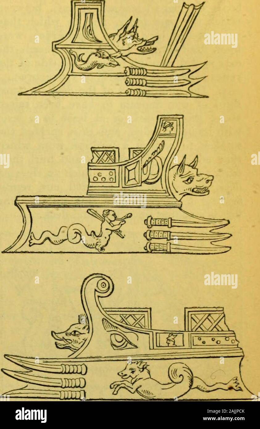 Dangerous beaks hi-res stock photography and images - Alamy