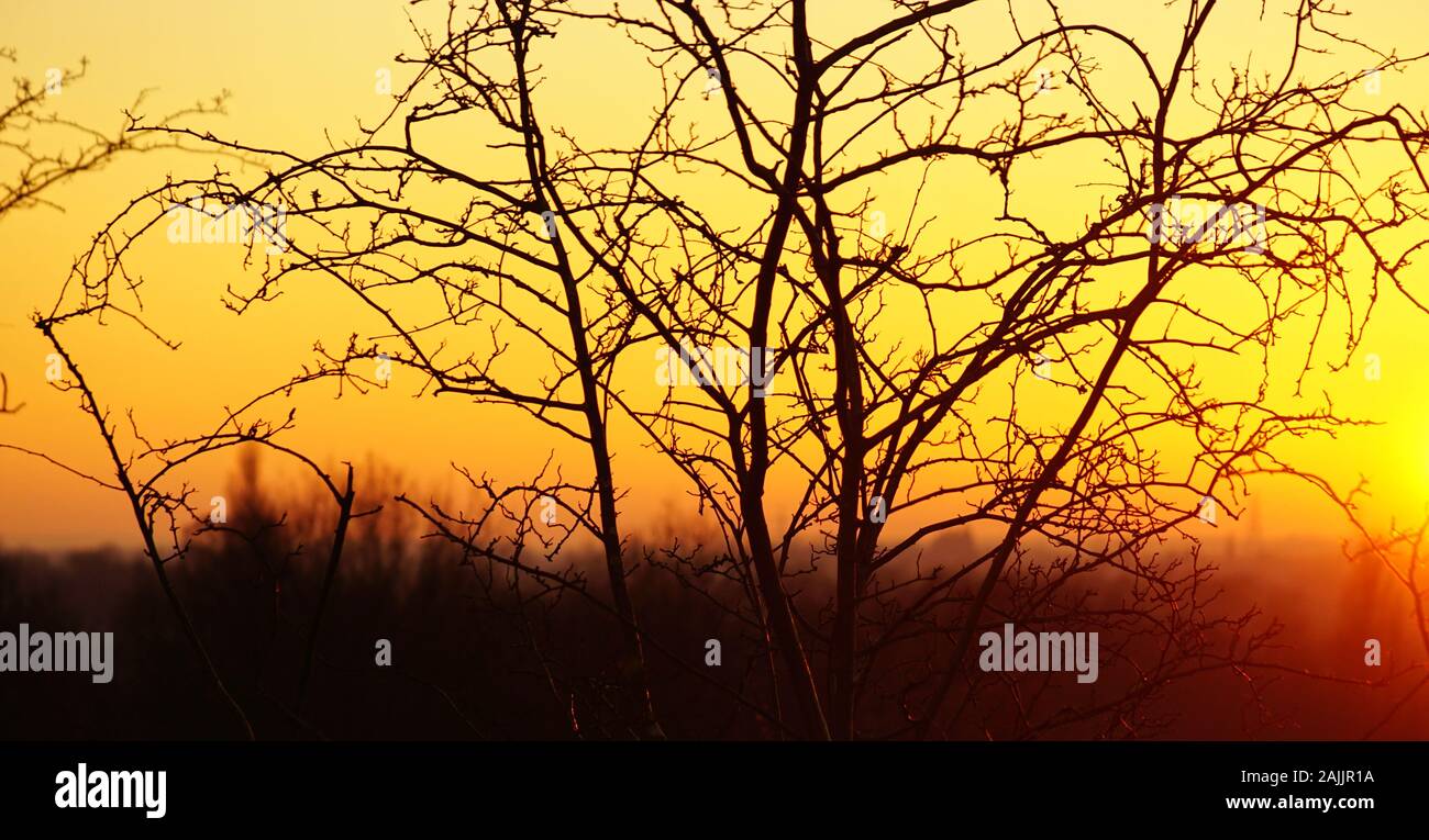 Glorious sun set hi-res stock photography and images - Alamy