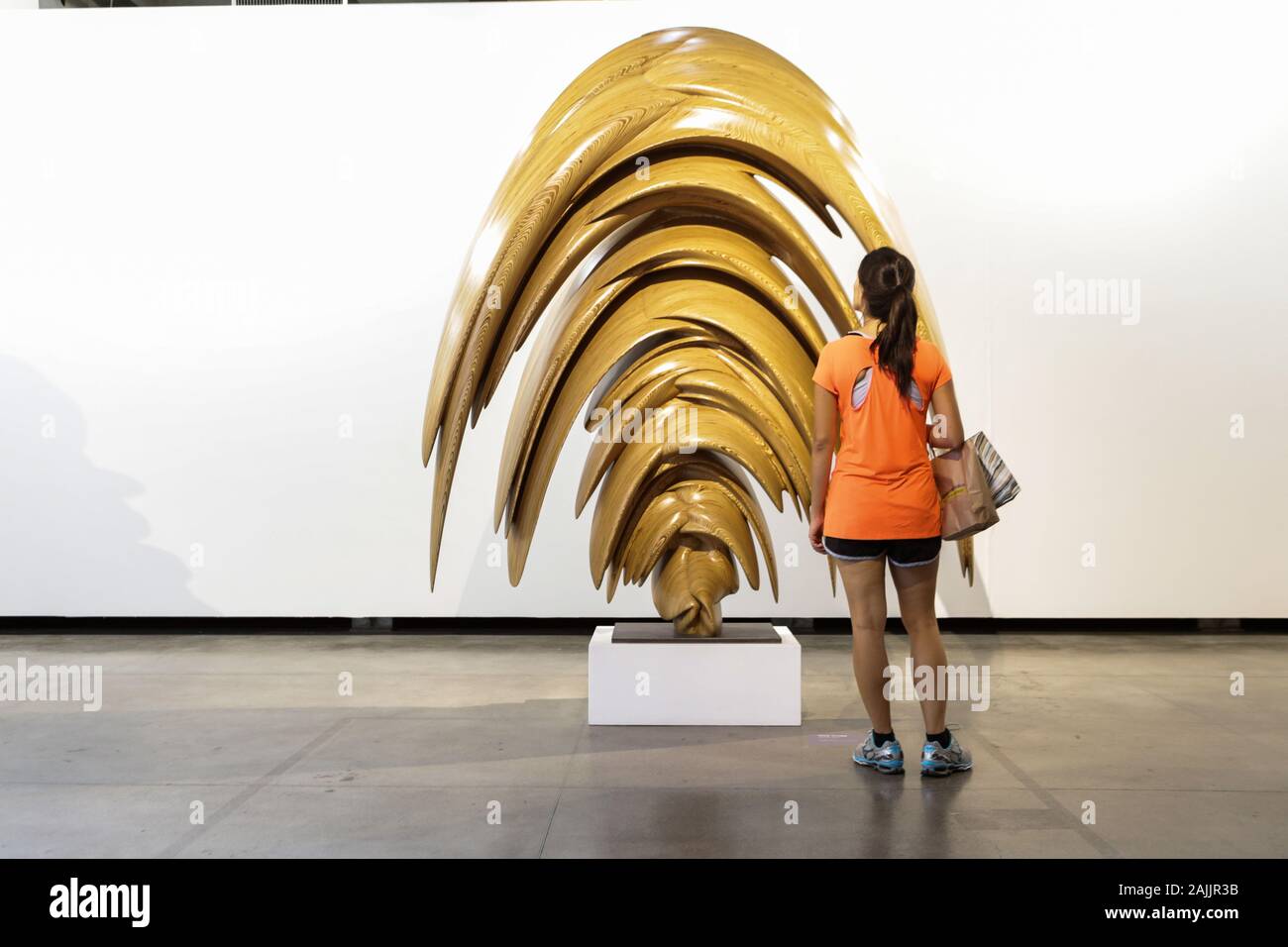 January 4, 2020: Detail of Tony Cragg's work that occupies the MuBe ...