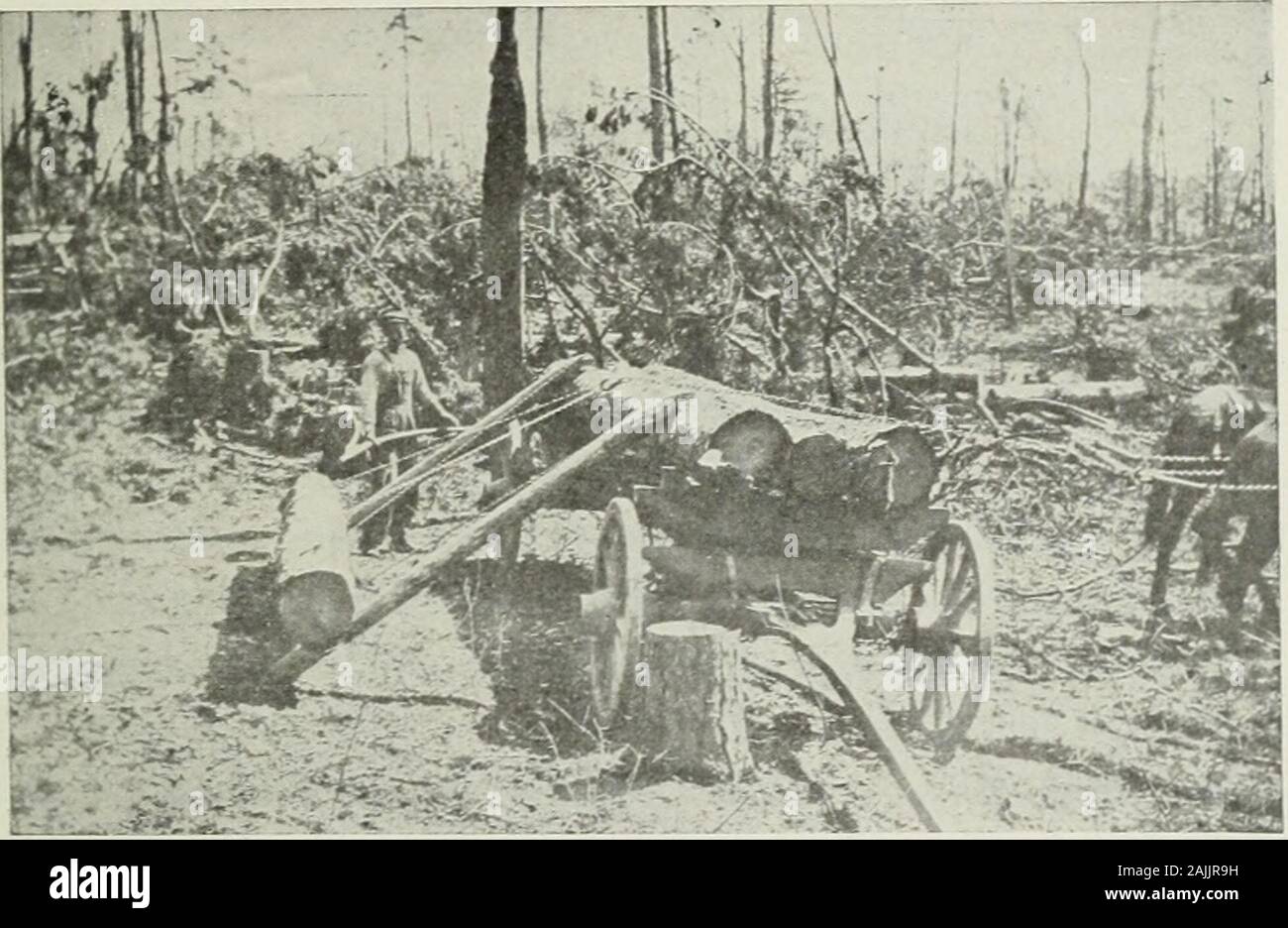 Logging; the principles and general methods of operation in the United ...