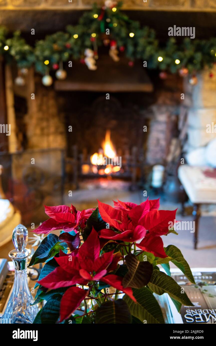 Room with open fire hi-res stock photography and images - Alamy