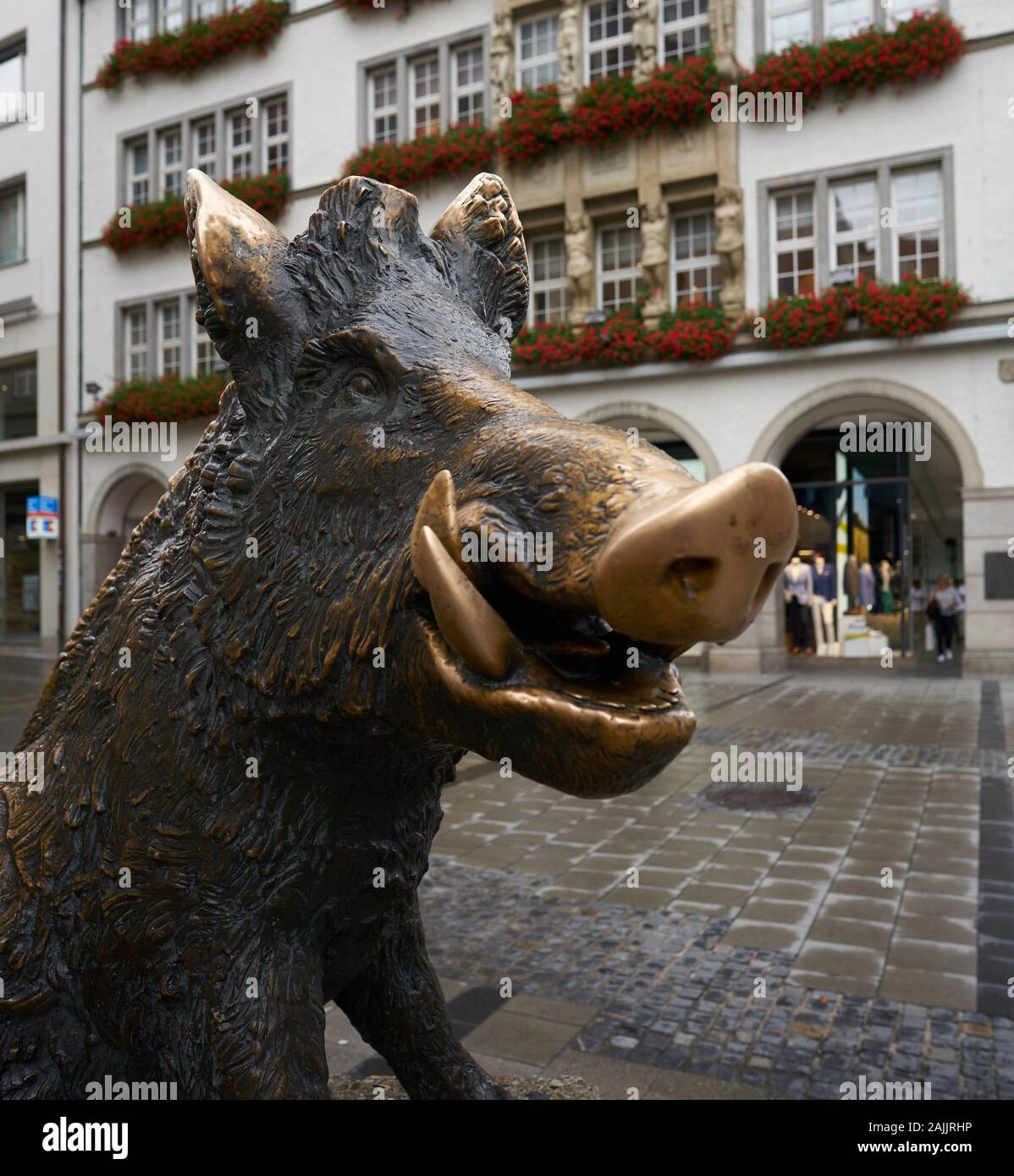 Massive bronze sculpture of a Wild Boar in close up located on a ...