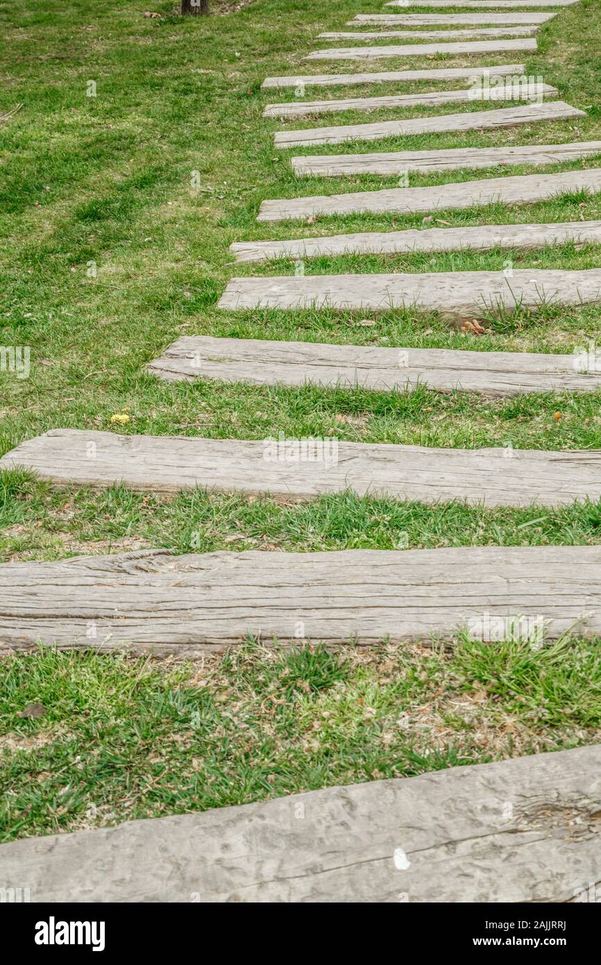 Walk Way Boardwalk Path Nature High Resolution Stock Photography and ...