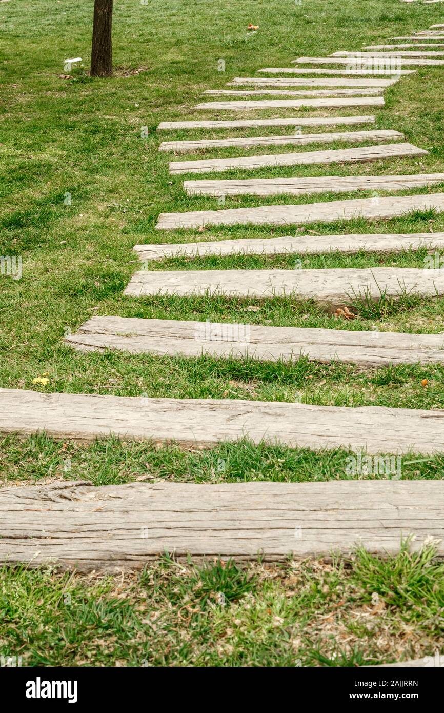 Walk Way Boardwalk Path Nature High Resolution Stock Photography and ...