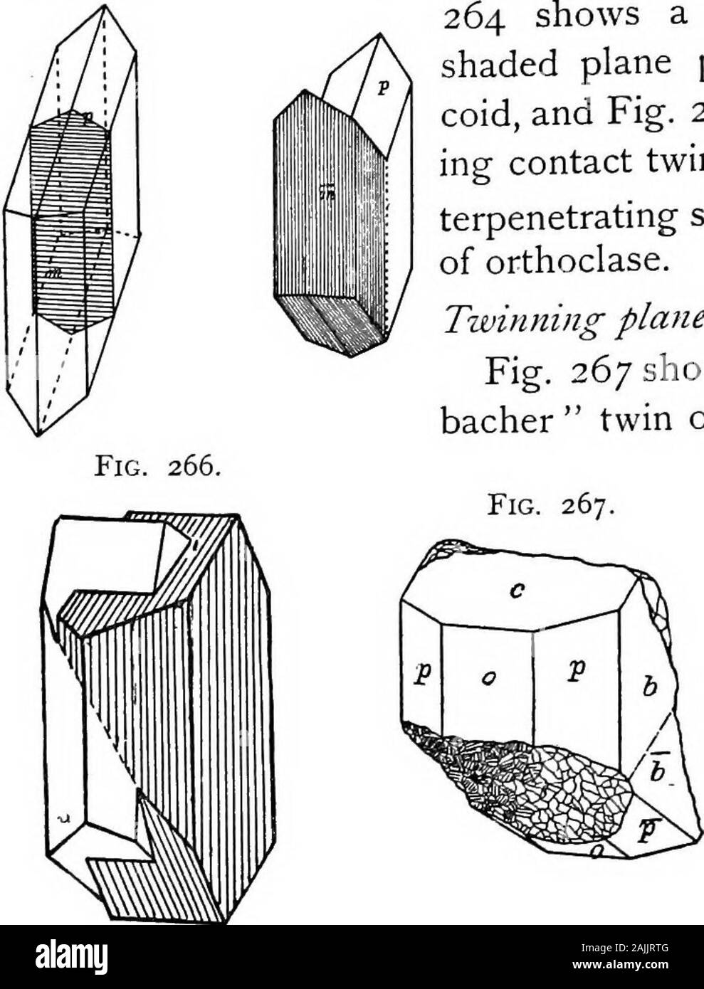 Common cr Cut Out Stock Images & Pictures - Alamy