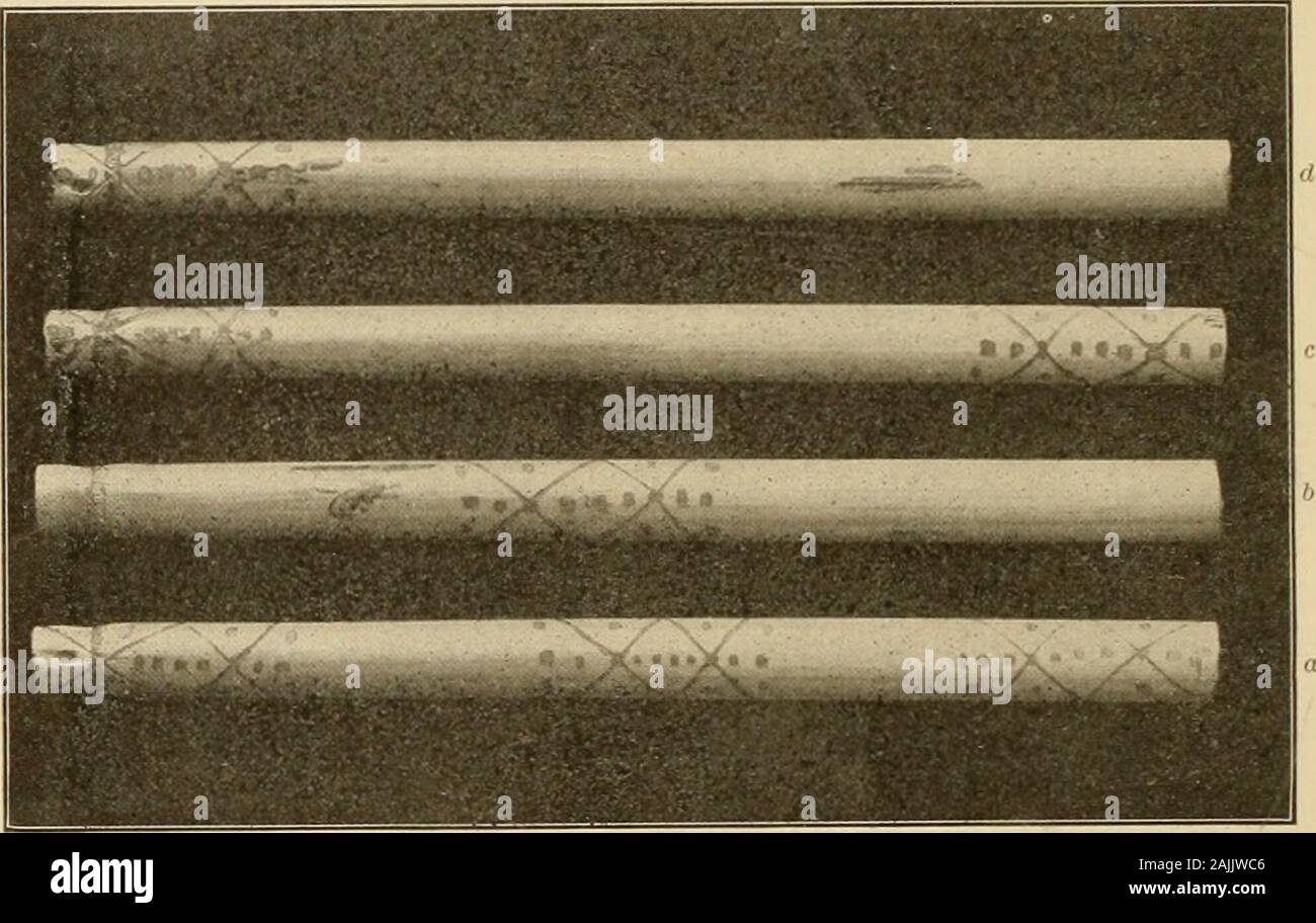 Nibbed hi-res stock photography and images - Alamy