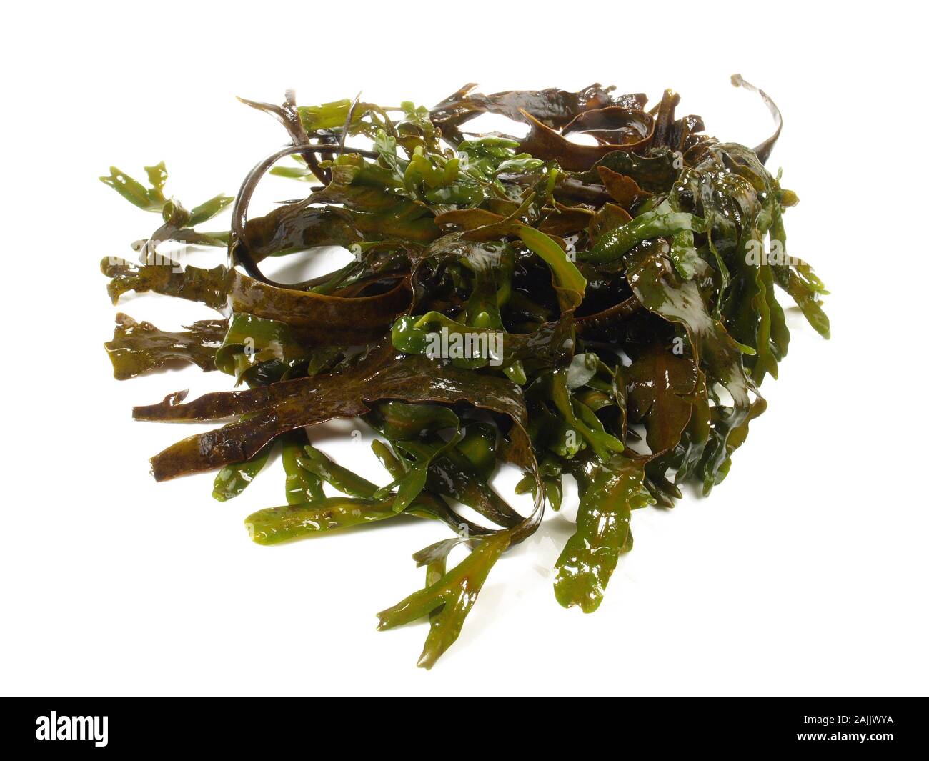 Dulse seaweed hi-res stock photography and images - Alamy