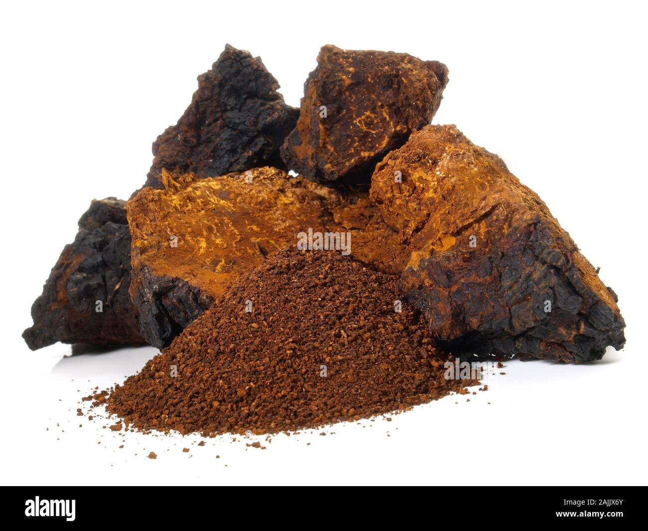 Birch tree fungus on Cut Out Stock Images & Pictures - Alamy