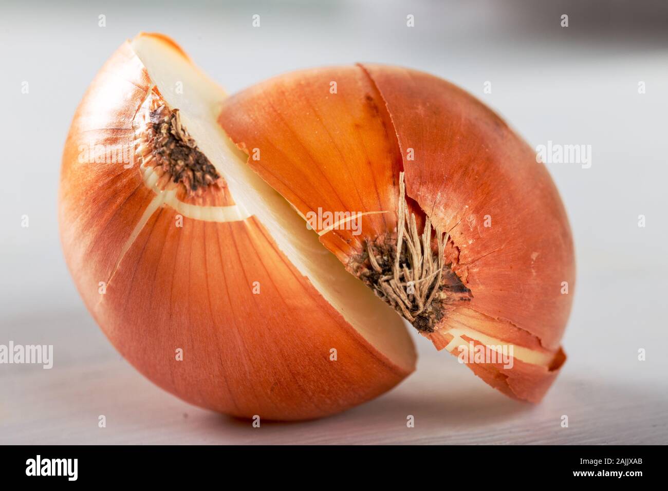 Onion, cut in half, isolated on white background Stock Photo - Alamy