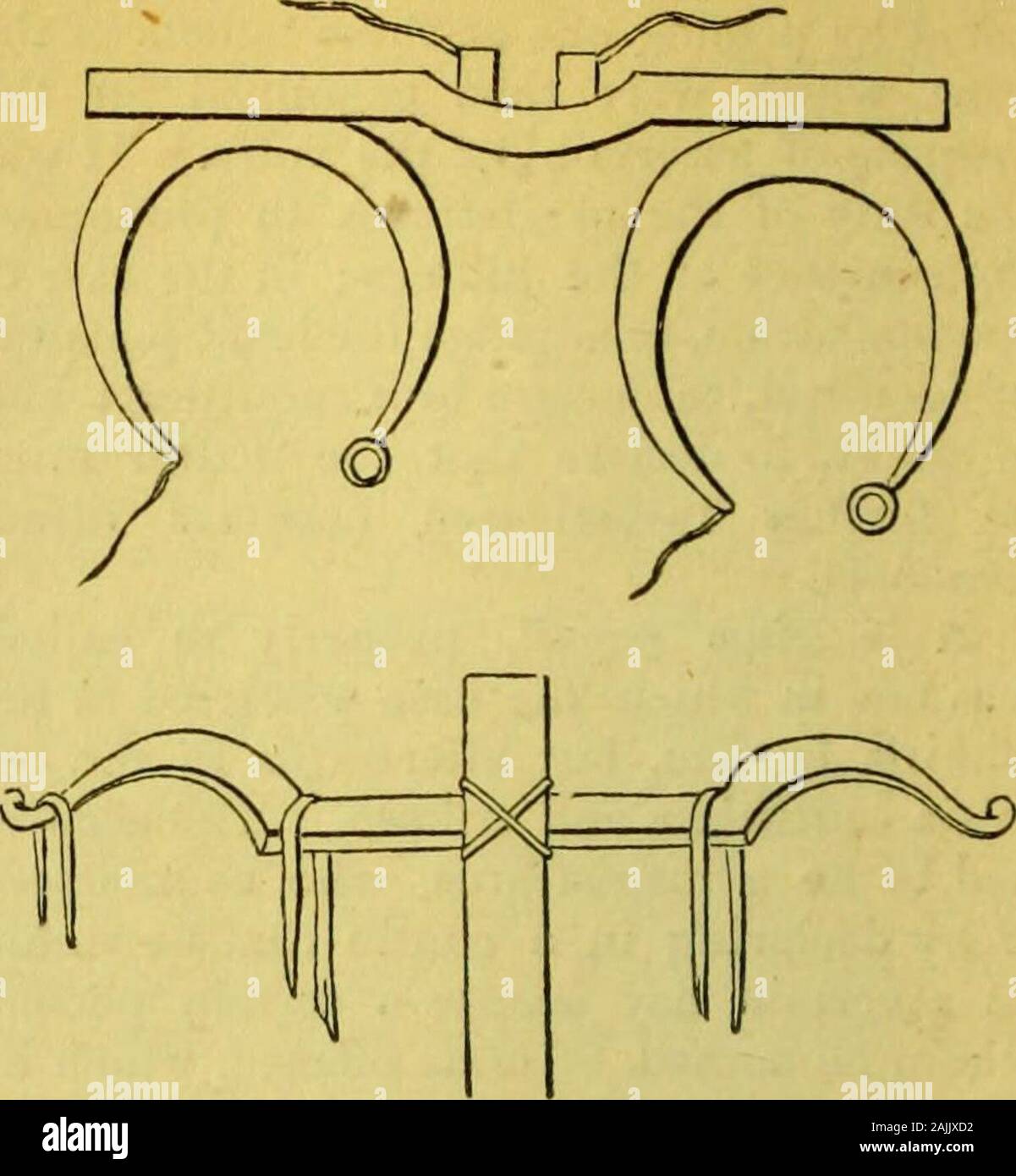 School dictionary of Greek and Roman antiquities . ngerum, its smallest ...