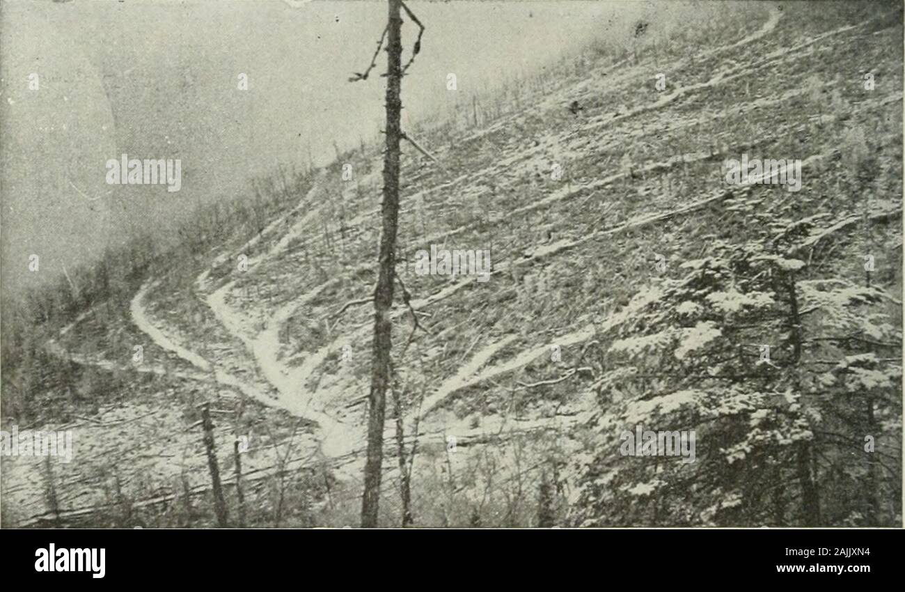 Logging; the principles and general methods of operation in the United ...