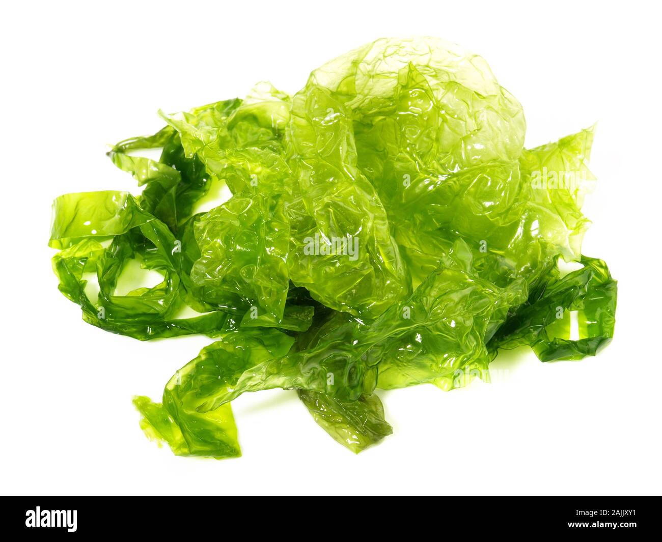 Fresh Green Algae on white Background Stock Photo - Alamy