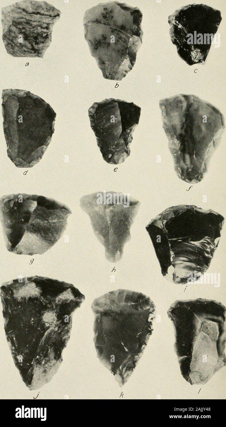 Smithsonian miscellaneous collections . Large Quartzite Scrapers One-half size. SMITHSONIAN ...