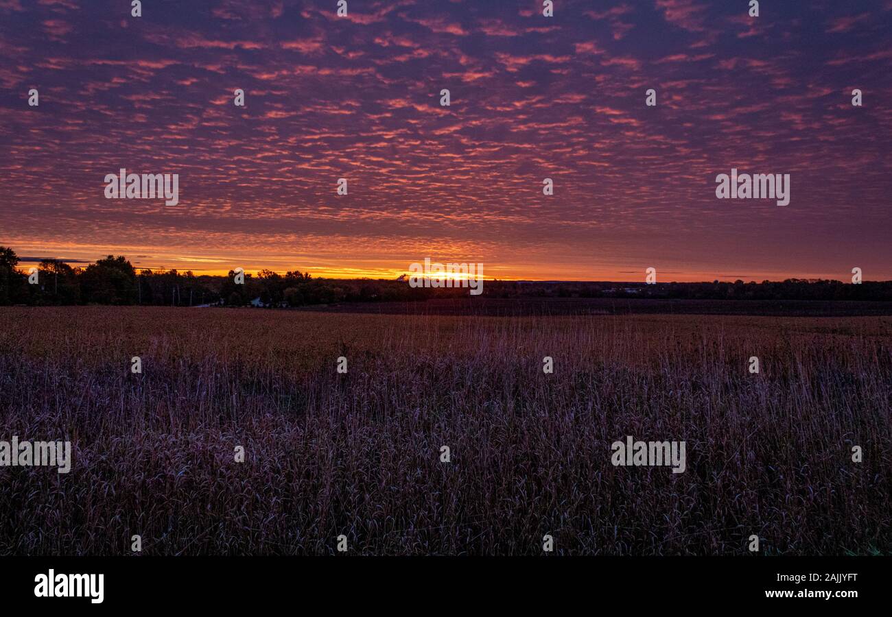 Dark treeline hi-res stock photography and images - Alamy
