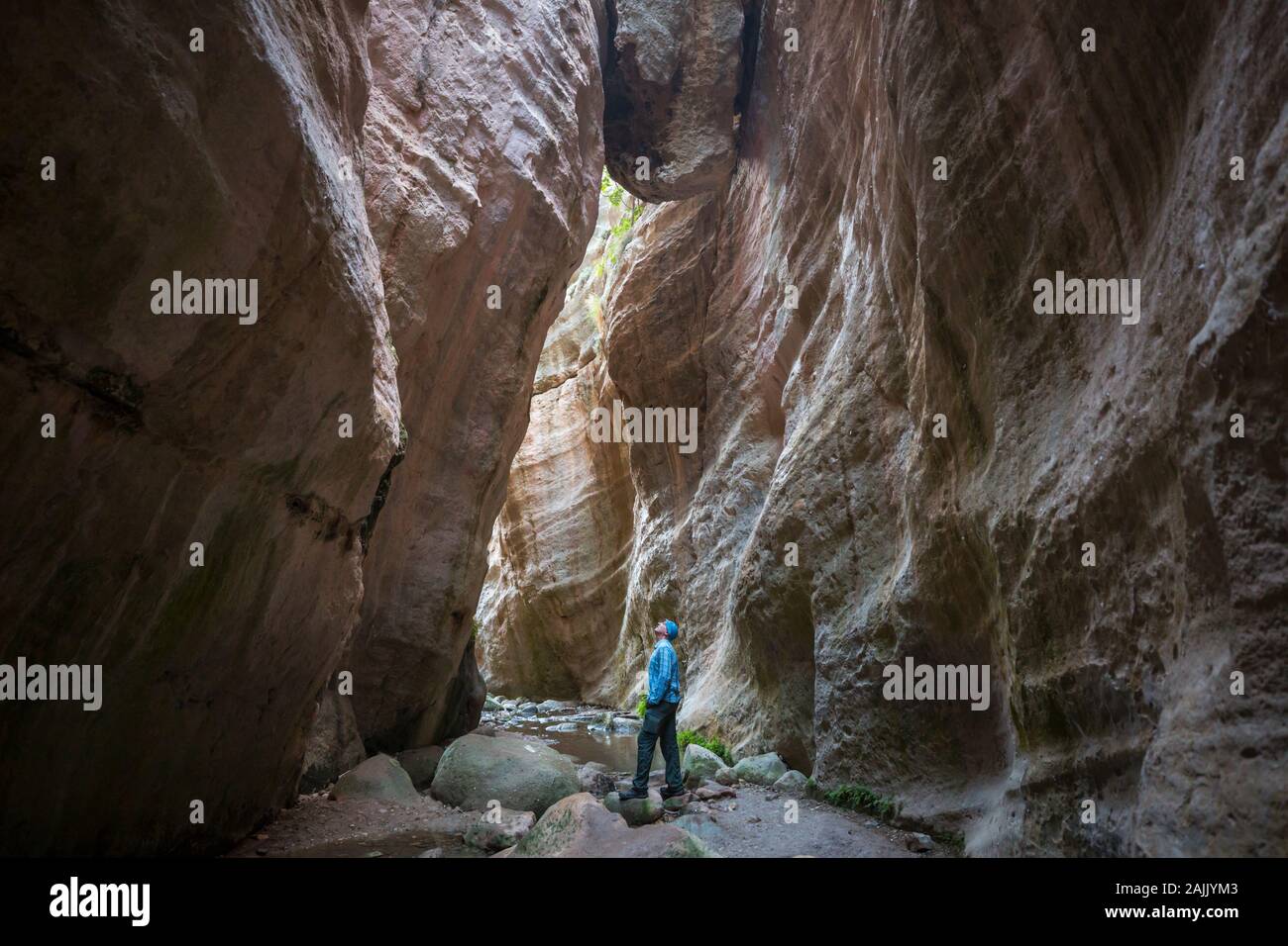 Tourist in Avakas Gorge. Paphos District, Cyprus. Famous small canyon ...