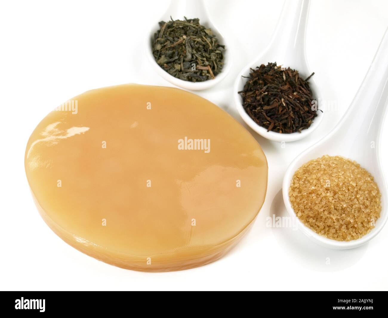 Kombucha Mushroom on white Background Stock Photo - Alamy