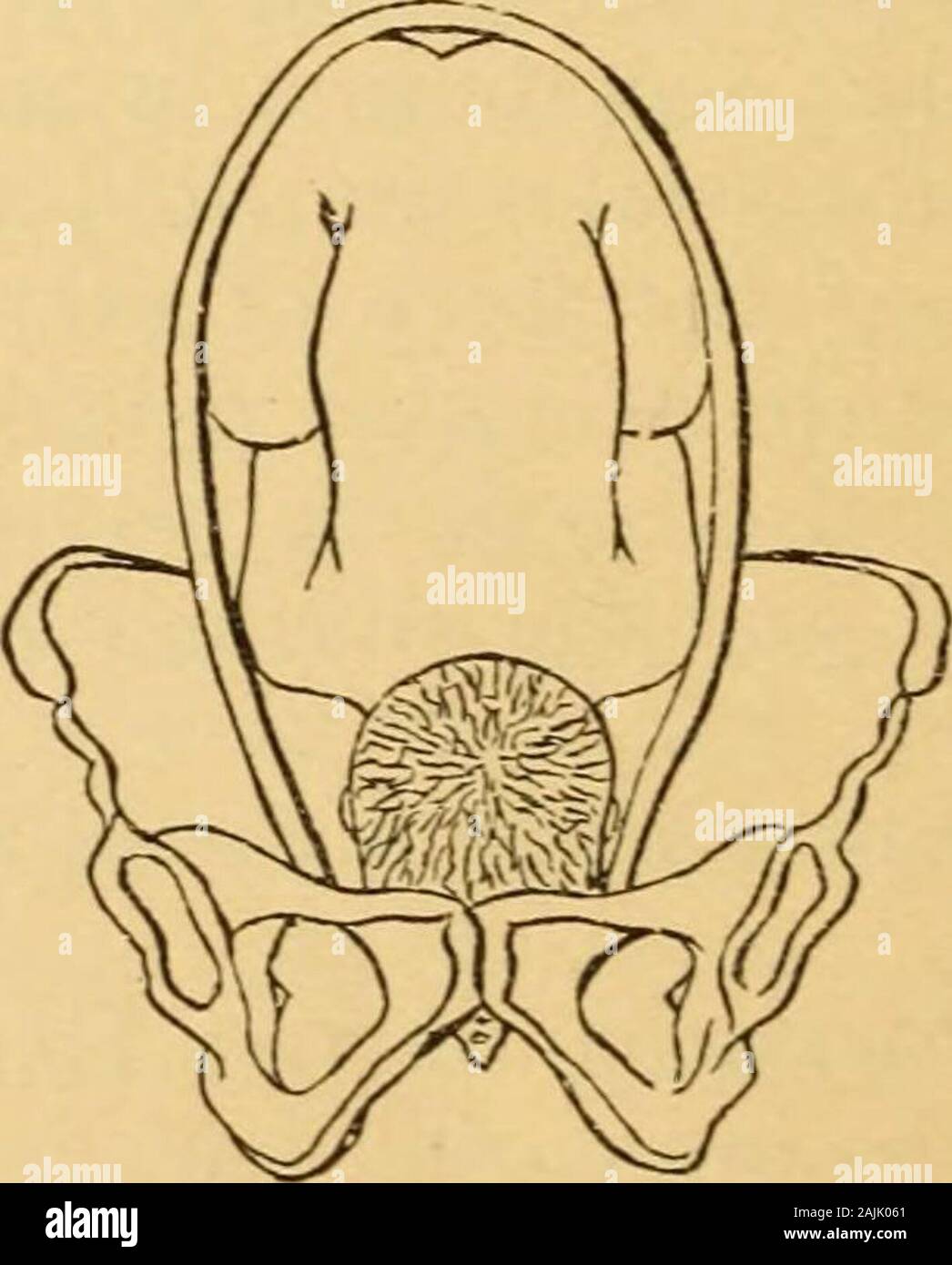 Position 197 hi-res stock photography and images - Alamy