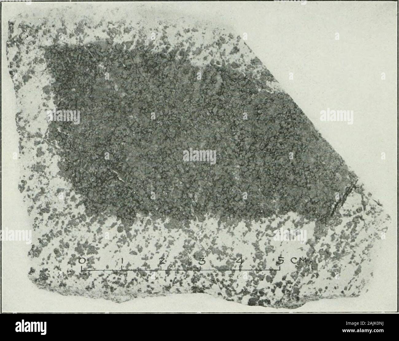 Chondrules hi-res stock photography and images - Alamy