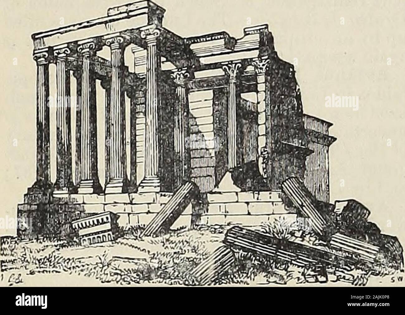 Periboea hi-res stock photography and images - Alamy