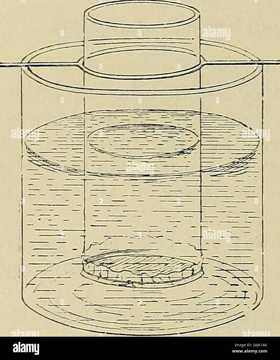 Affinity vessel hi-res stock photography and images - Alamy