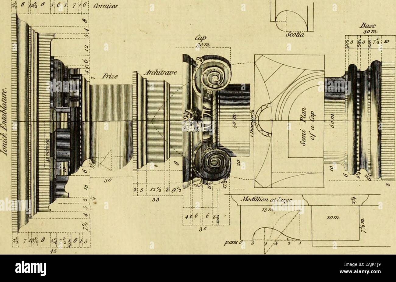 Practical builder, or, Workman's general assistant, shewing the most ...