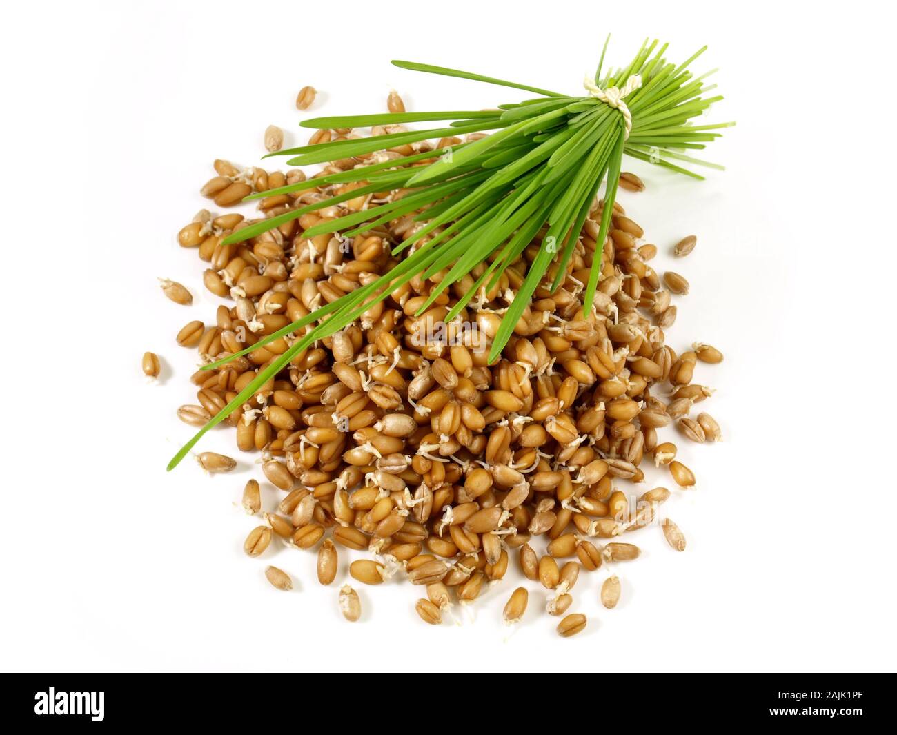 Grass seedlings hi-res stock photography and images - Alamy