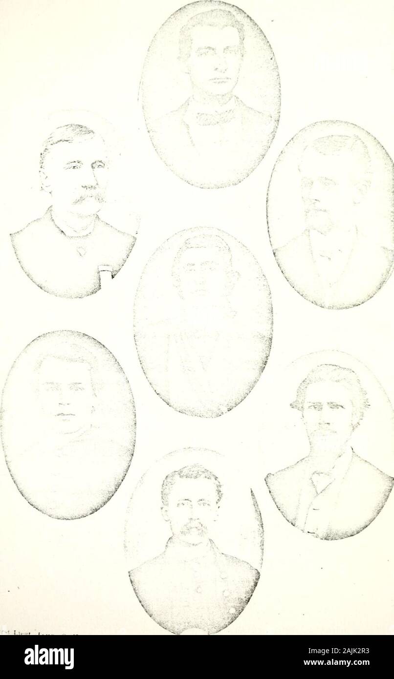 Abatis hi-res stock photography and images - Alamy